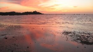 Top 10 Places in Jamnagar: Must-Visit Attractions